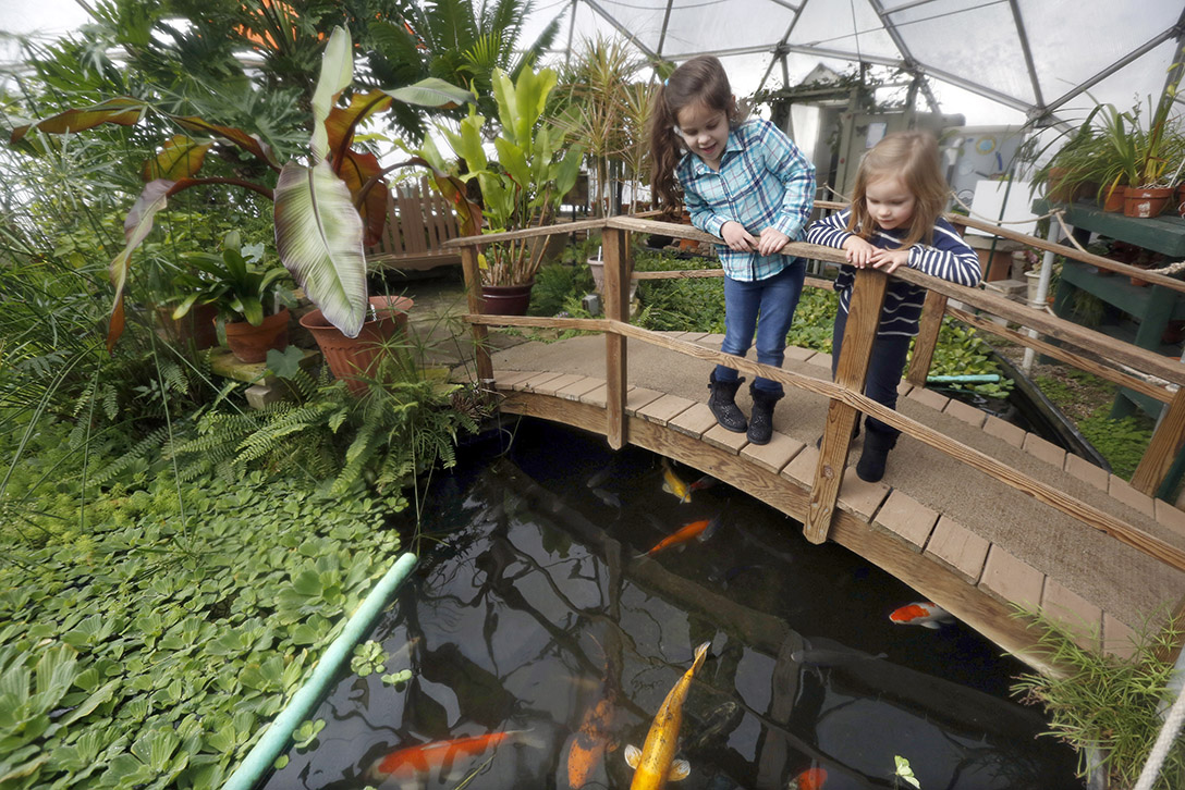 Playing Koi at 577 Foundation - The Blade