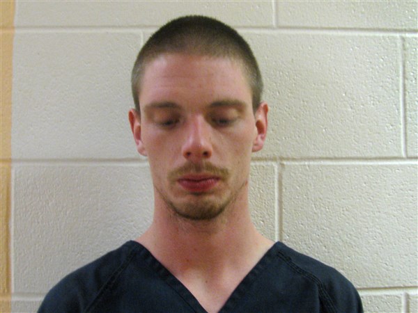 Video arraignment set for Delta slaying suspect | The Blade