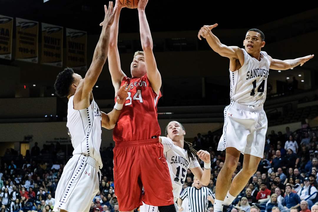 IN PICTURES: Wauseon 54, Sandusky 33 - The Blade