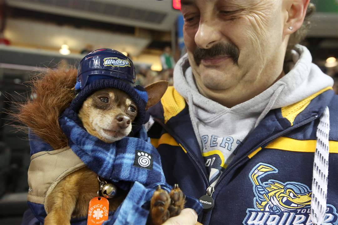 Dog-friendly Walleye game - The Blade