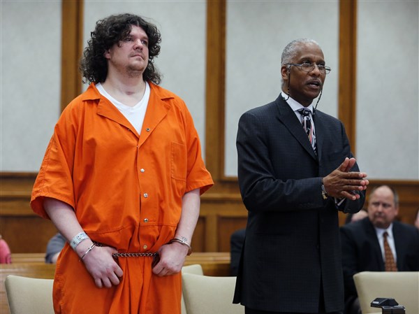 Springfield Twp. man gets life in prison for fatal stabbing | The Blade