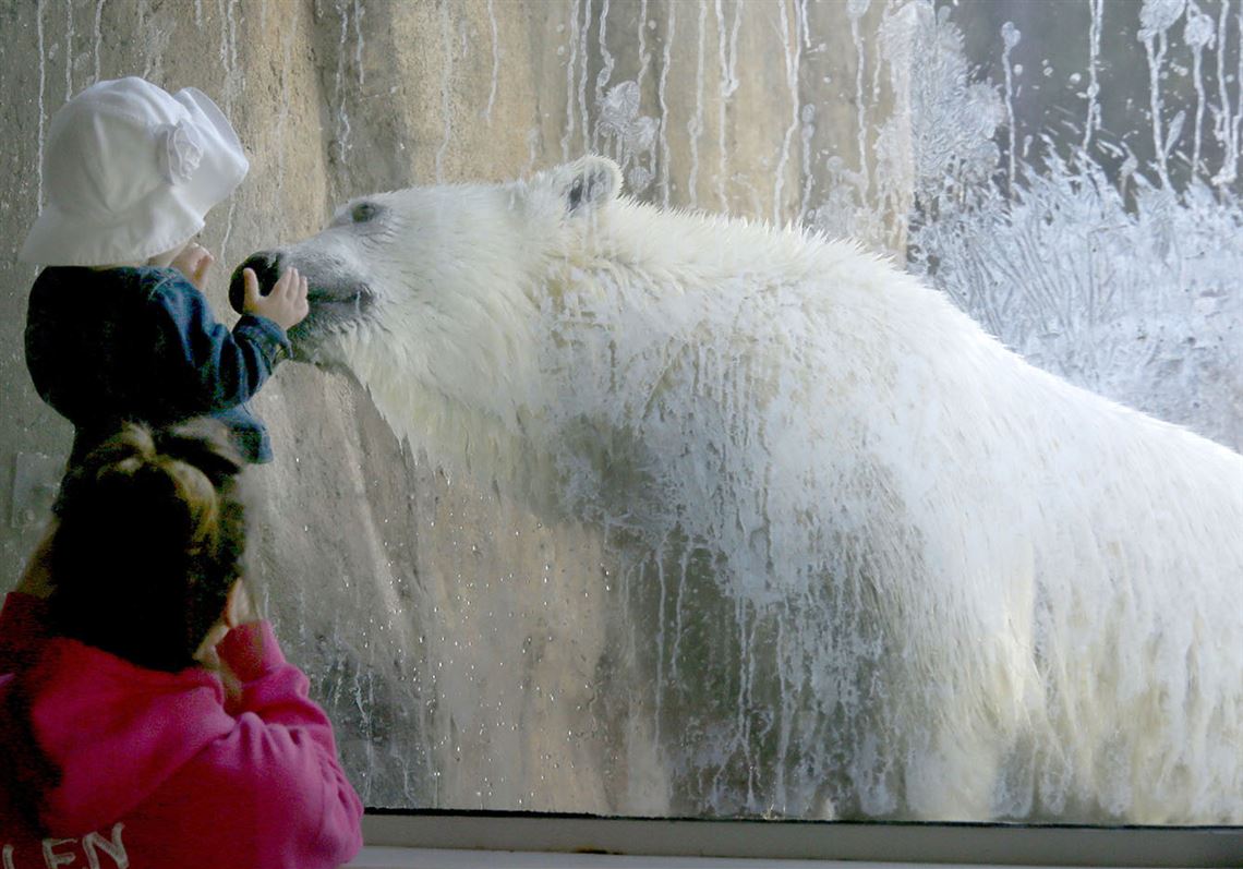Queens Zoo Polar Bear Toy