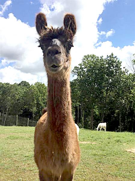 Plenty of places to explore in southeast Ohio - The Blade