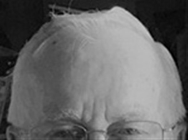 Thomas Lee Bockbrader (1931-2017) | The Blade
