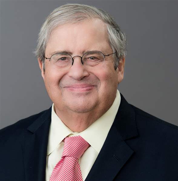 2 challengers set to take on mayor in Perrysburg - The Blade