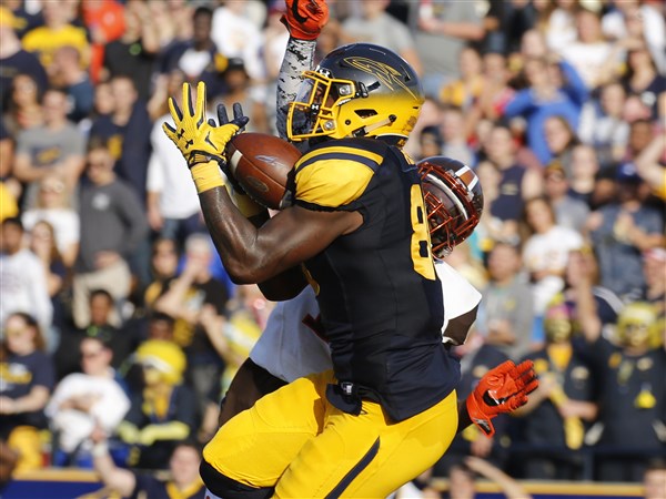 Replacing Roberts a team proposition for Rockets | The Blade