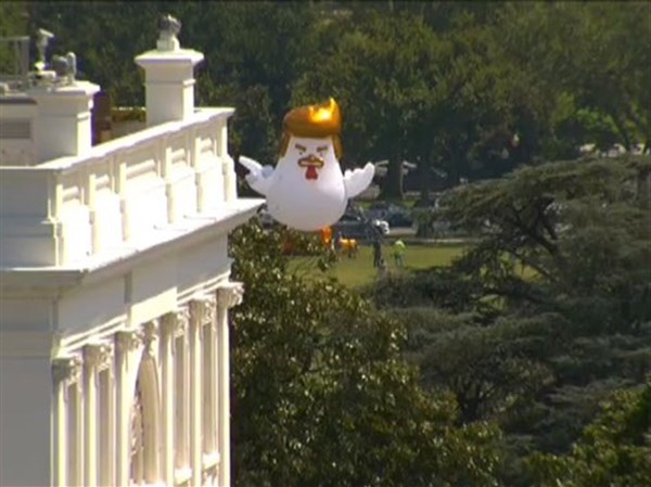 Giant inflatable Trump chicken sighted near White House | The Blade