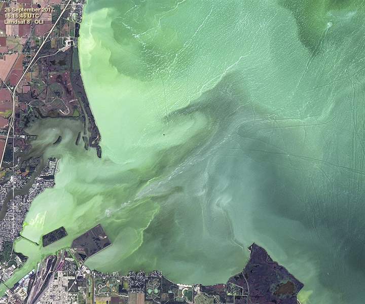 Toledo's harmful algal bloom season comes to end - The Blade