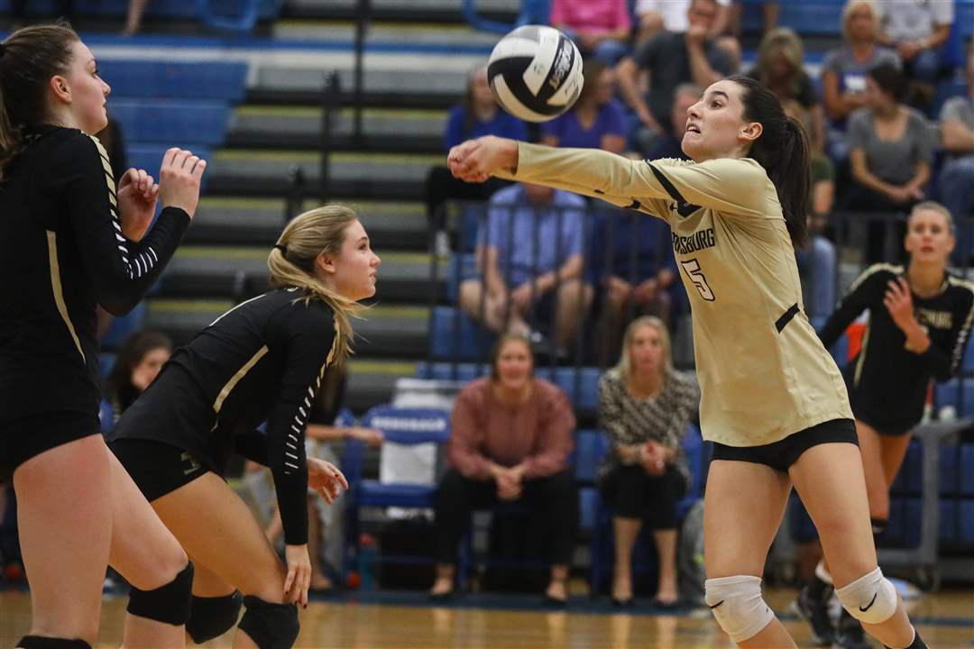 IN PICTURES: Perrysburg vs. Anthony Wayne volleyball - The Blade