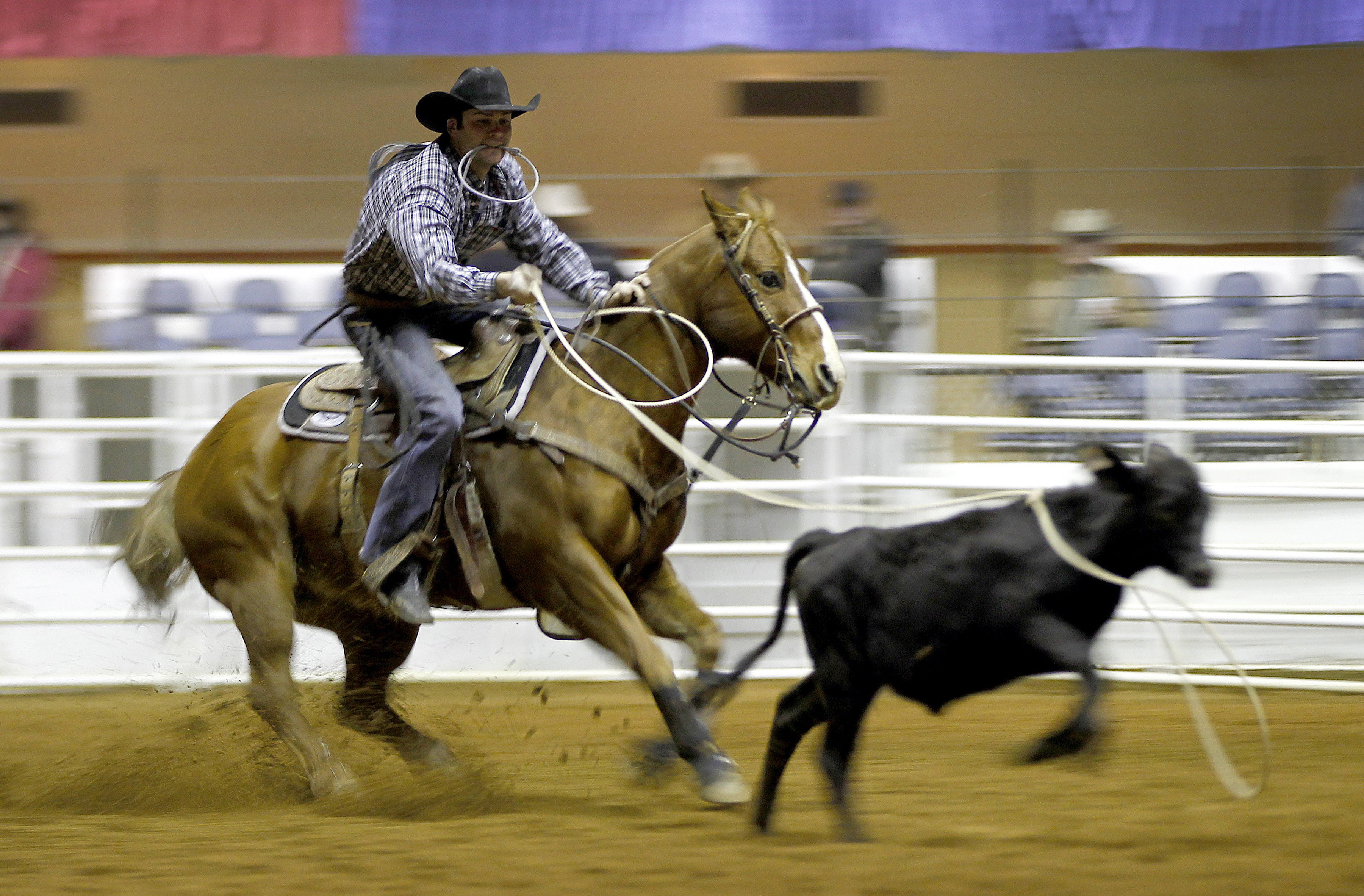 PRCA Xtreme Bull competition comes to Toledo - The Blade