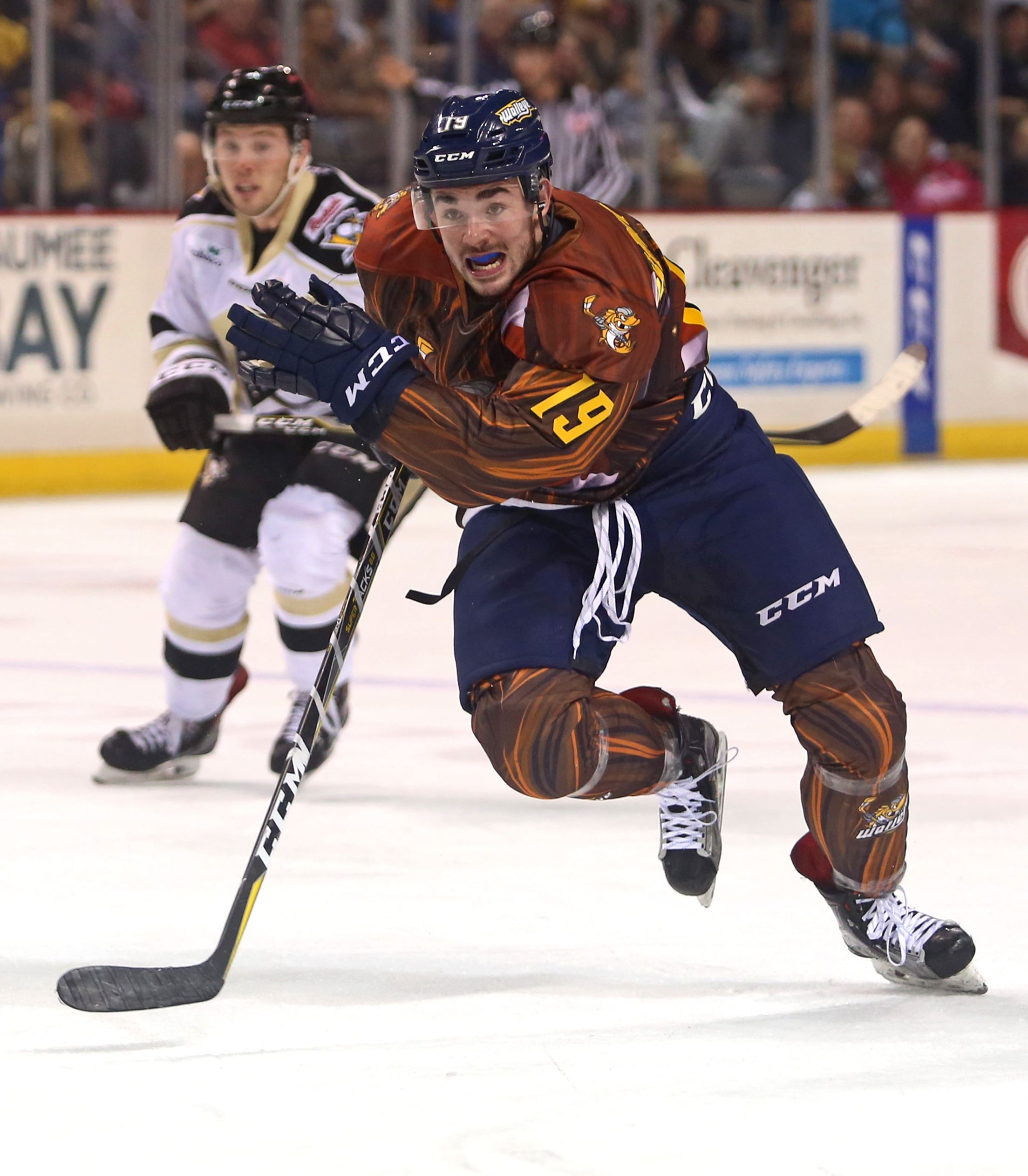 Walleye see losing streak stretch to three games - The Blade
