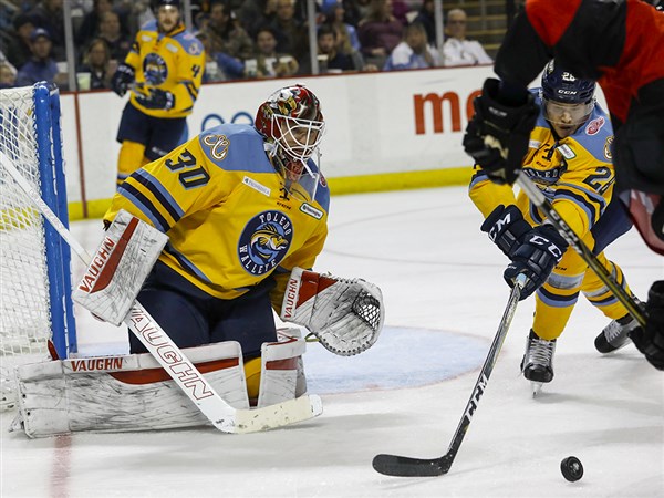 Walleye goaltender Pat Nagle provides steady presence | The Blade