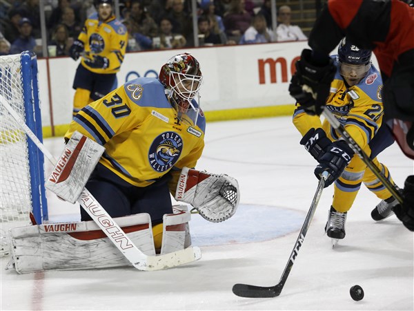 Walleye Watch: Toledo plays Atlanta on Friday, Saturday | The Blade