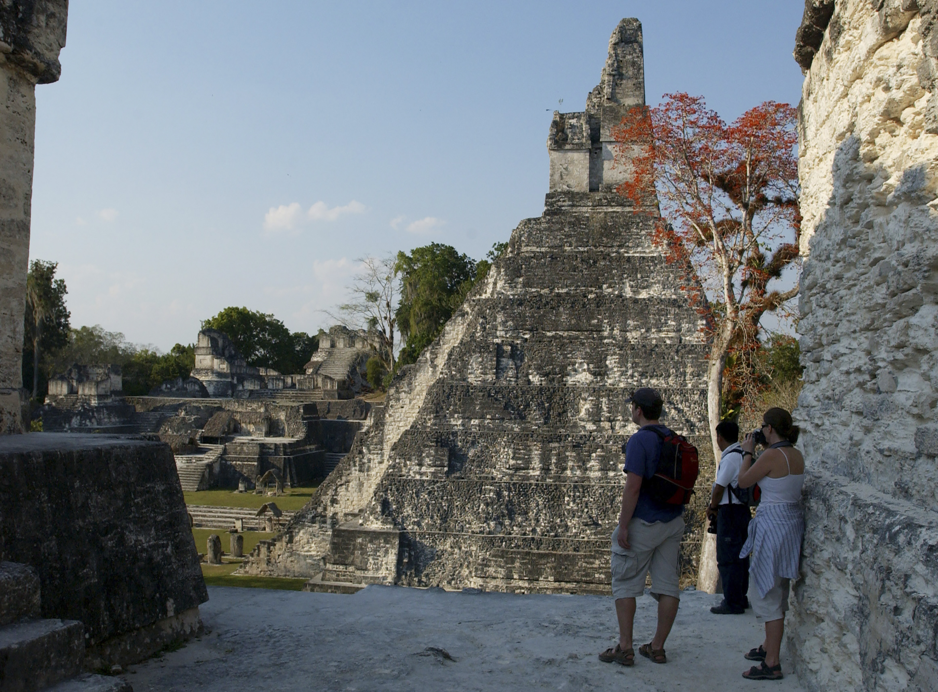 Mayan Temples In Guatemala