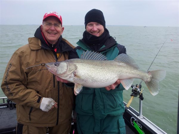 Trophy walleye at their biggest in advance of spring spawn | The Blade