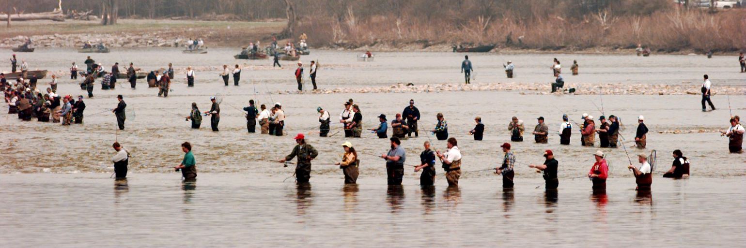 Hot spots for the Maumee River walleye run - The Blade