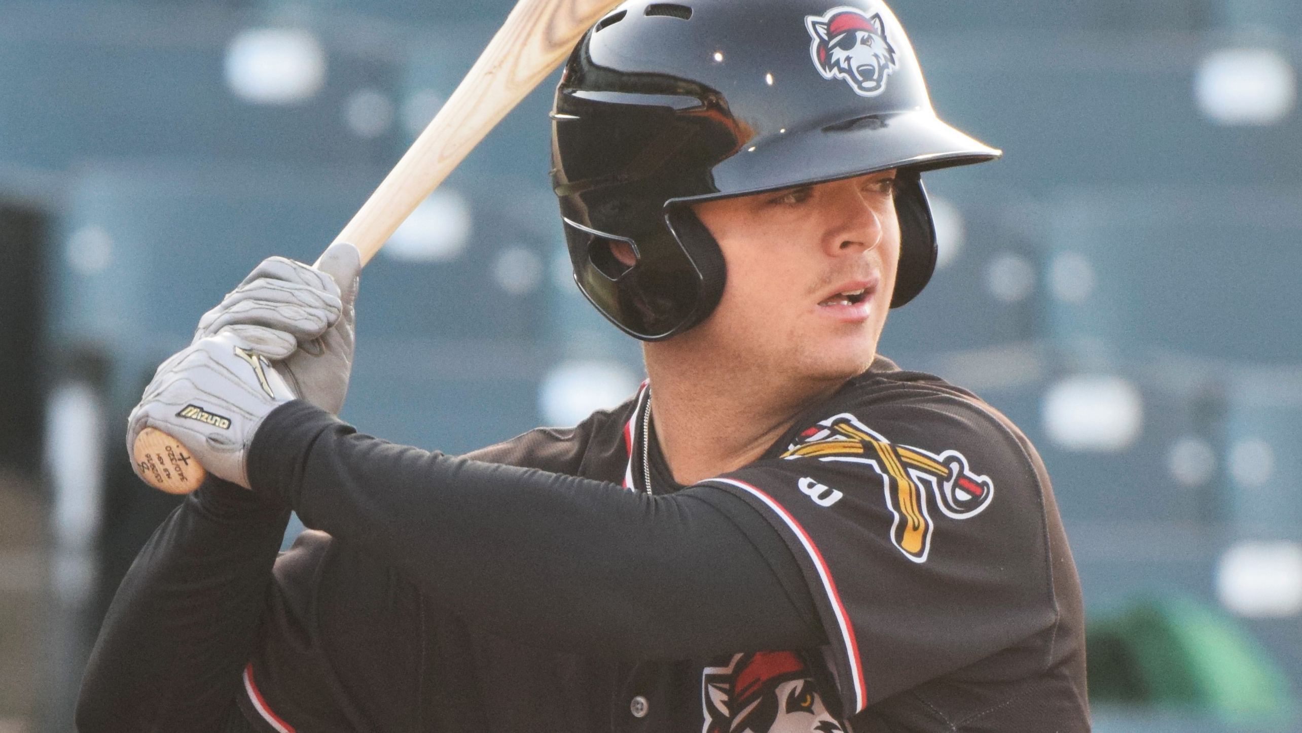 Power, arm behind plate are calling cards for Tigers prospect Rogers ...
