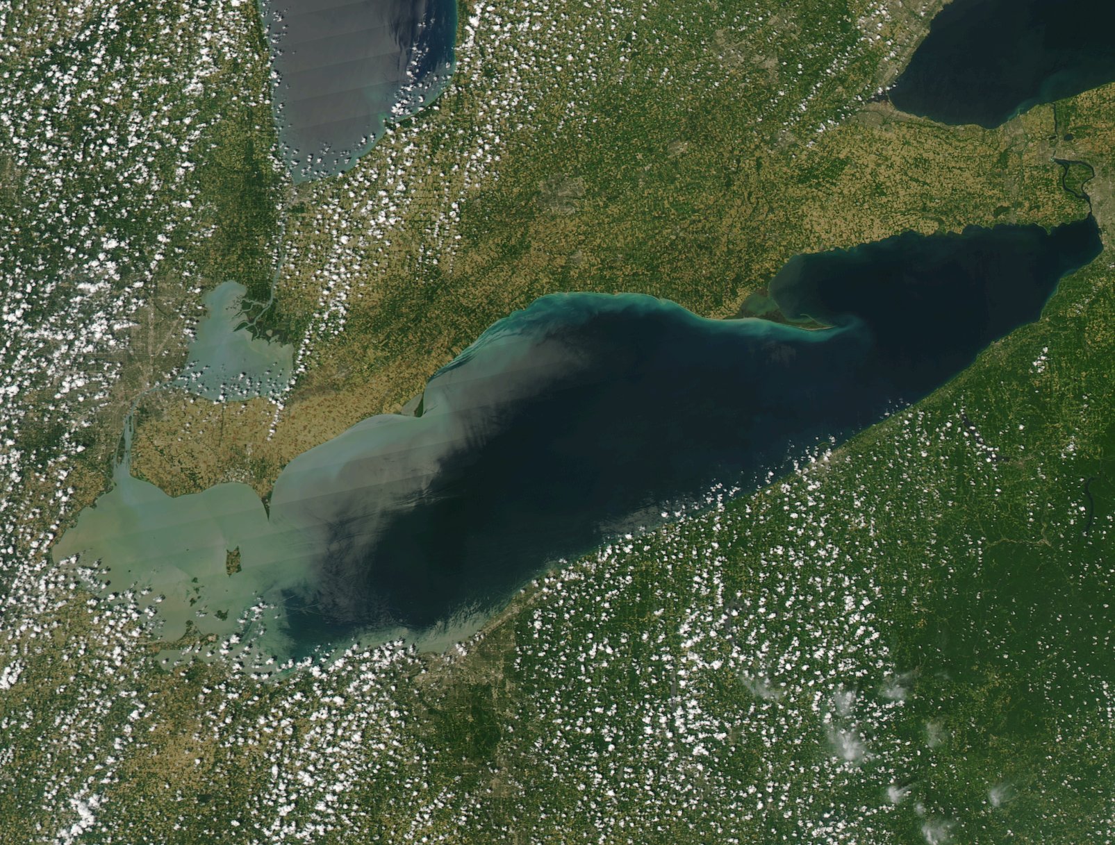 Toxic algae in western Lake Erie makes early arrival because of heat ...