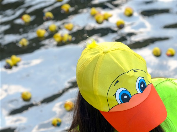 PHOTO GALLERY: Ducky Dash in Monroe, Mich. | The Blade