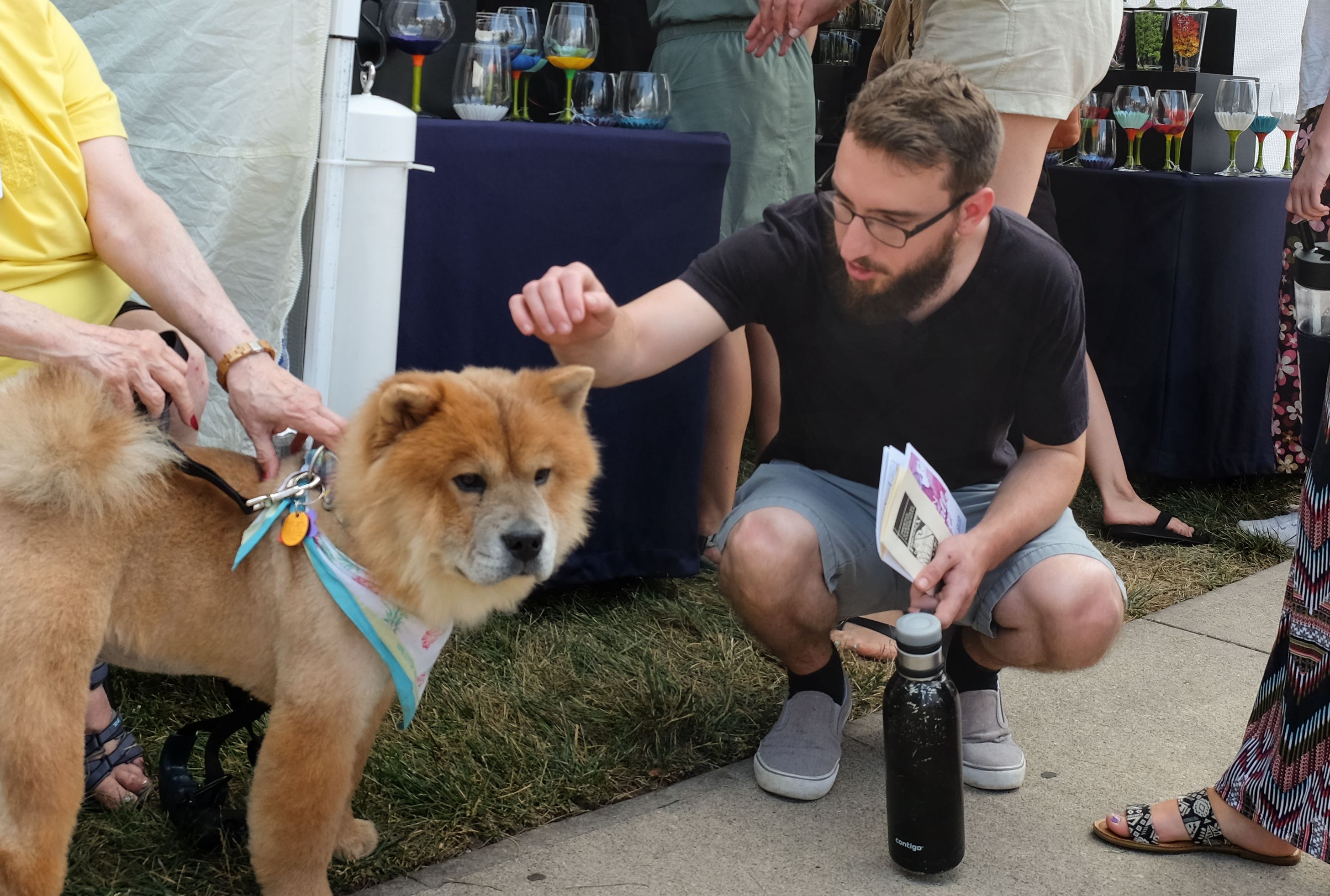 Lucas County Dogs for Adoption: 8/8 - The Blade