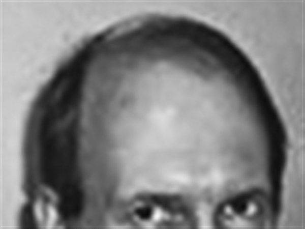 Daniel L. Metzger (1943-2018) | The Blade