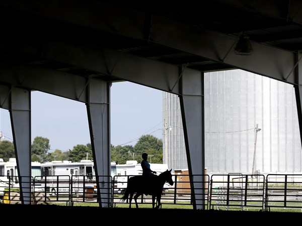 PHOTO GALLERY: Fulton County Fair | The Blade