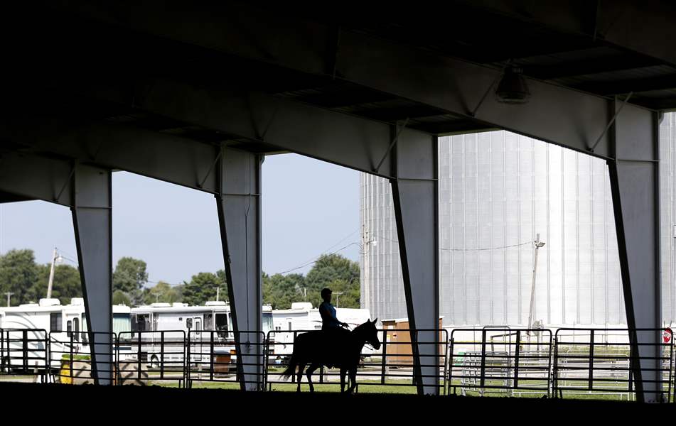 PHOTO GALLERY: Fulton County Fair - The Blade