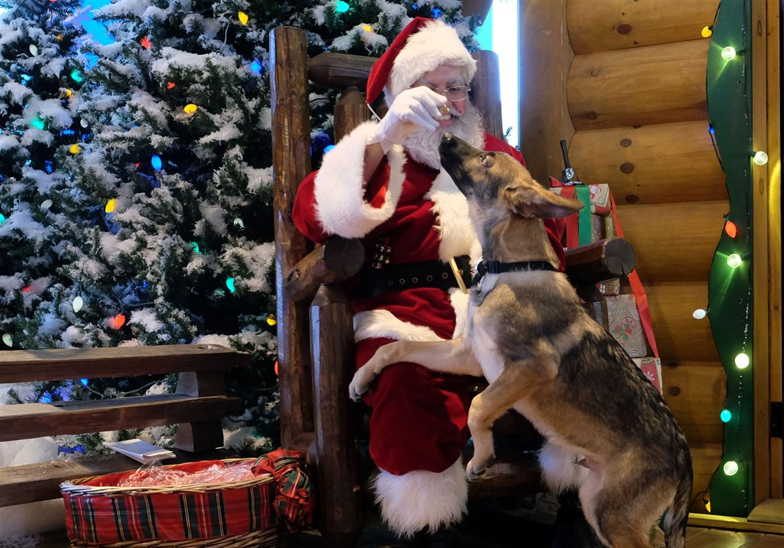 Can Dogs Take Pictures With Santa At Bass Pro