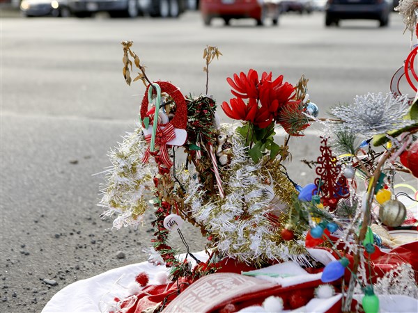 Christmas weed could be children’s book star | The Blade