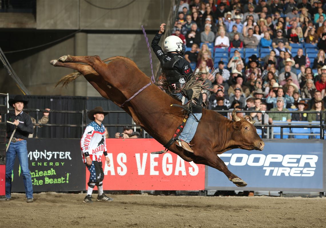 Bull Riding Event