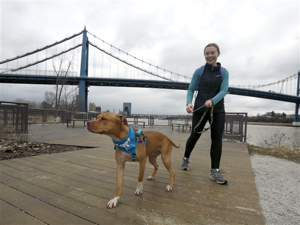 Dogs on the Town program returns to Lucas County Canine Care & Control ...