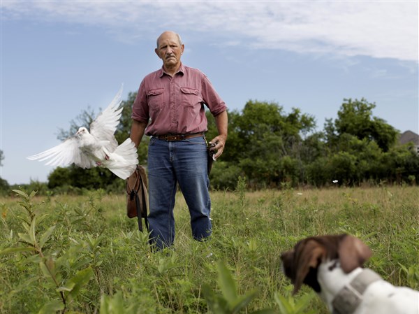 Championship dogs put local man in Hall of Fame | The Blade