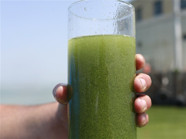 We've been warned about algae | The Blade
