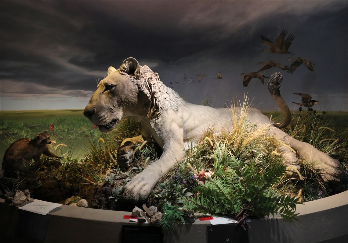 Toledo Zoo Ohio History The Toledo Zoo & Aquarium, Museum Of Natural