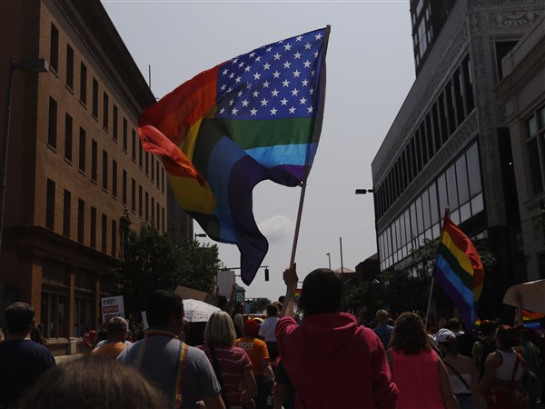 Generation Why: Taking Pride in our differences | The Blade