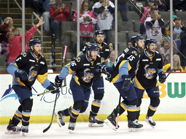 State of the Sport: Toledo area continues to embrace hockey | The Blade