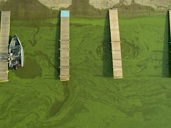 Ag runoff remains thorny issue for Michigan in efforts to curb Lake ...