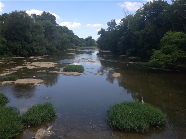 River Raisin documentary accepted into N.Y. film festival | The Blade