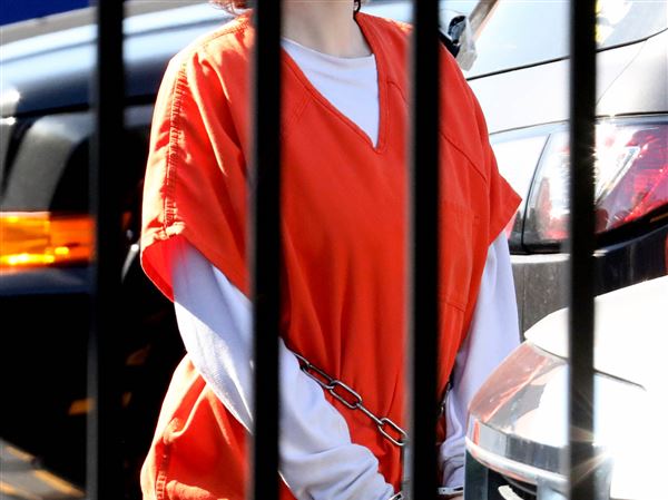 Elizabeth Lecron pleads guilty in foiled terrorist attack on Toledo bar ...