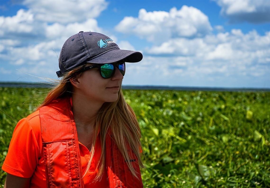 Alligator Weed Invasive Species