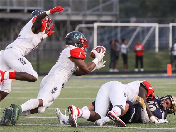 2019 Blade football poll champs crowned | The Blade