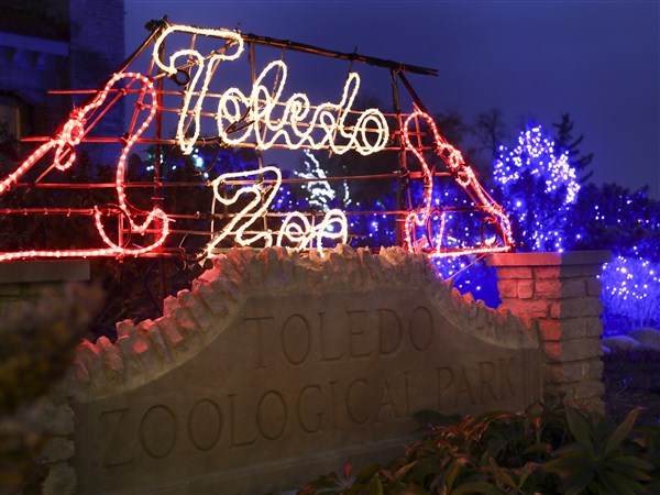 Toledo Zoo lights up again | The Blade