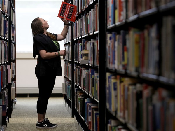 Library finance committee discusses potential cuts, payroll reduction ...