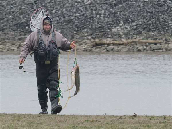 Photo gallery: Walleye Run in Fremont | The Blade