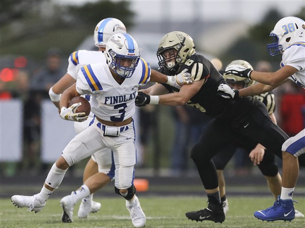 5 things to know about NLL football in 2020 | The Blade