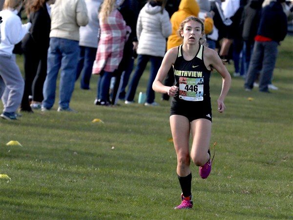 Meet the Toledo area's Division I and II cross country state qualifiers ...
