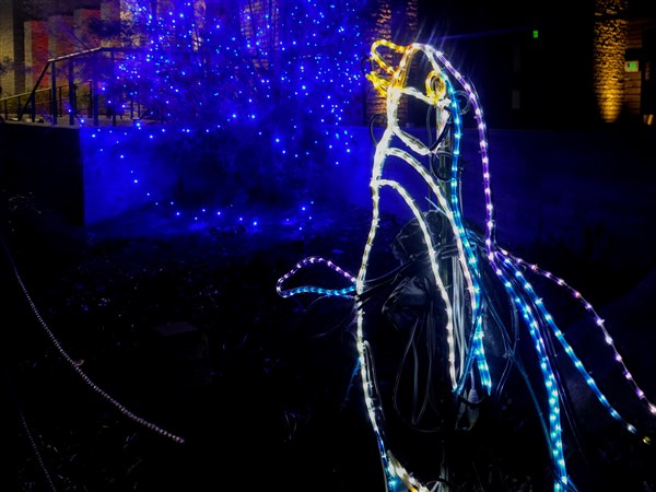Eyes all aglow: Lights Before Christmas returns to Toledo Zoo | The Blade