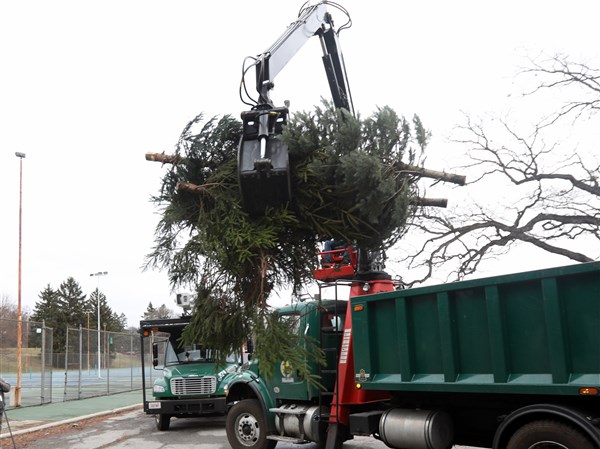 Fire department urges residents to properly dispose of Christmas trees ...