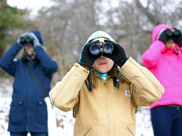 Great Backyard Bird Count is essential science | The Blade