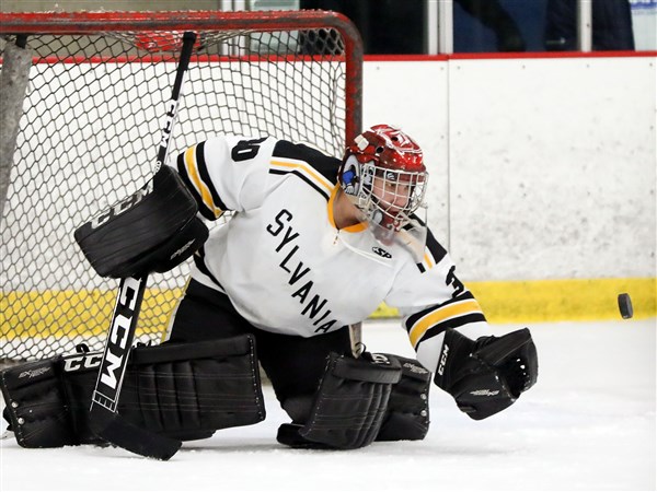 Photo Gallery: Northview hockey 4, Findlay 3 | The Blade